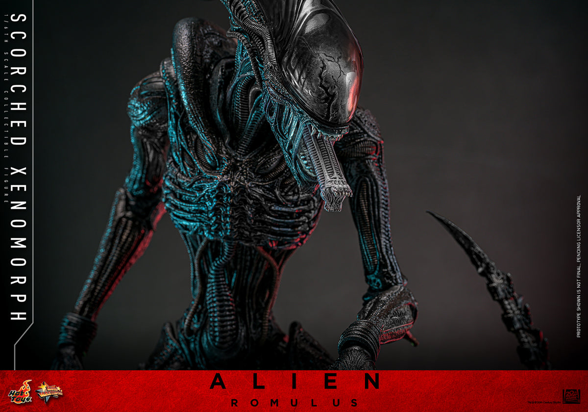 Hot Toys Alien: Romulus Scorched Xenomorph 1/6 Action Figure – Movie Figures